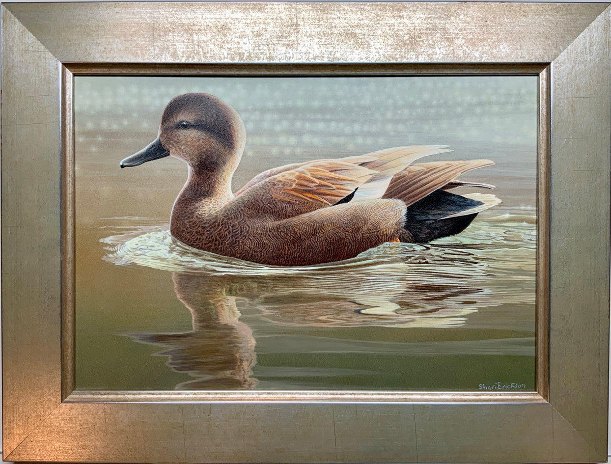 Gadwall Drake Duck Acrylic Painting – Shari Erickson Art
