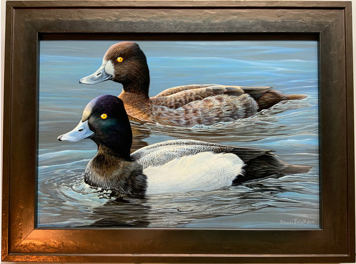 Lesser Scaup Duck Pair Acrylic Painting – Shari Erickson Art