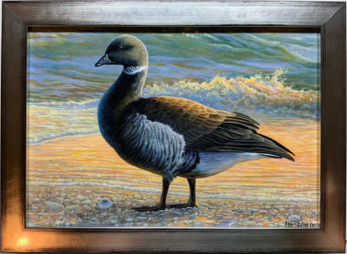 Black Brant Goose Acrylic Painting – Shari Erickson Art
